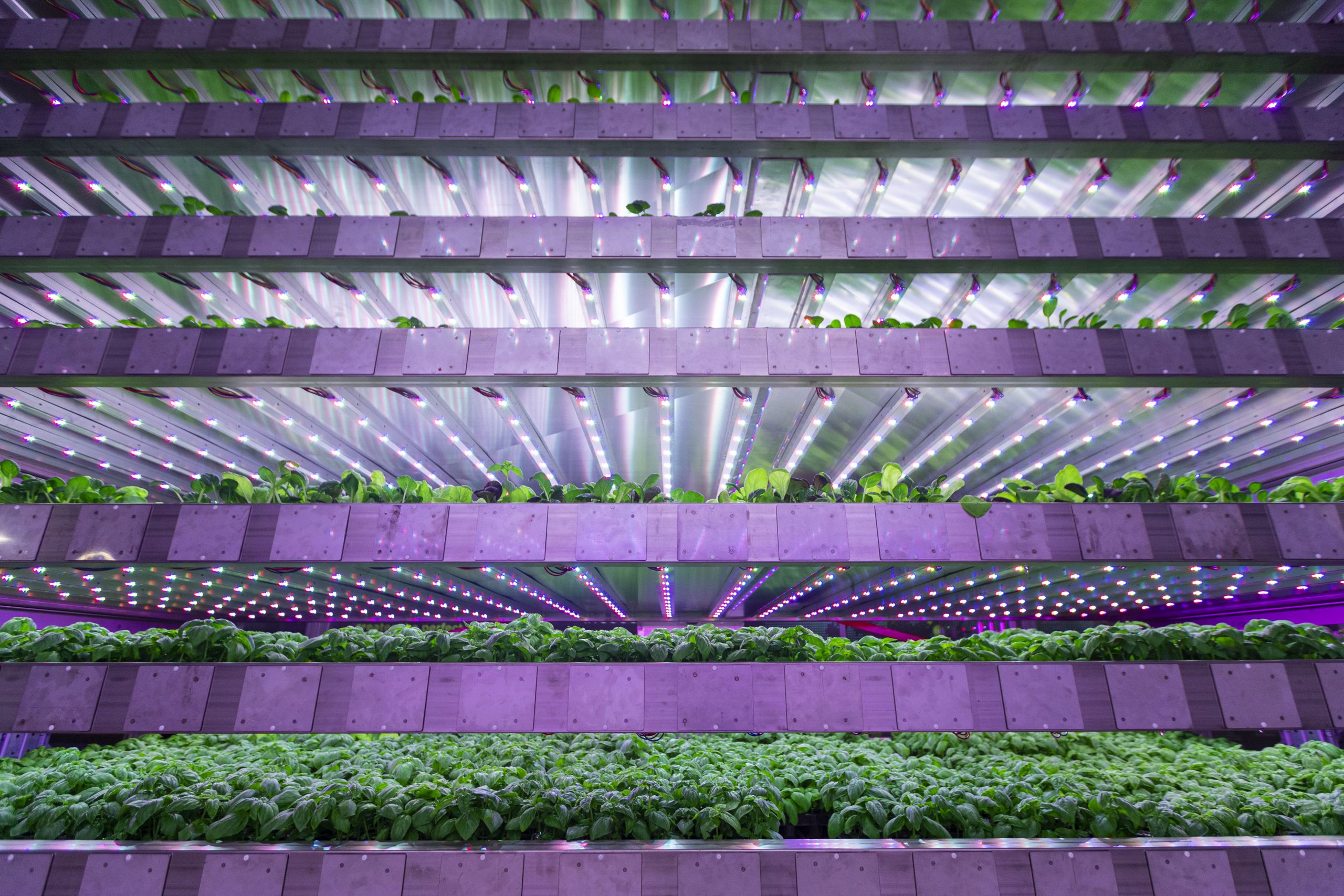 Sustainability PR Agency - The PHA Group