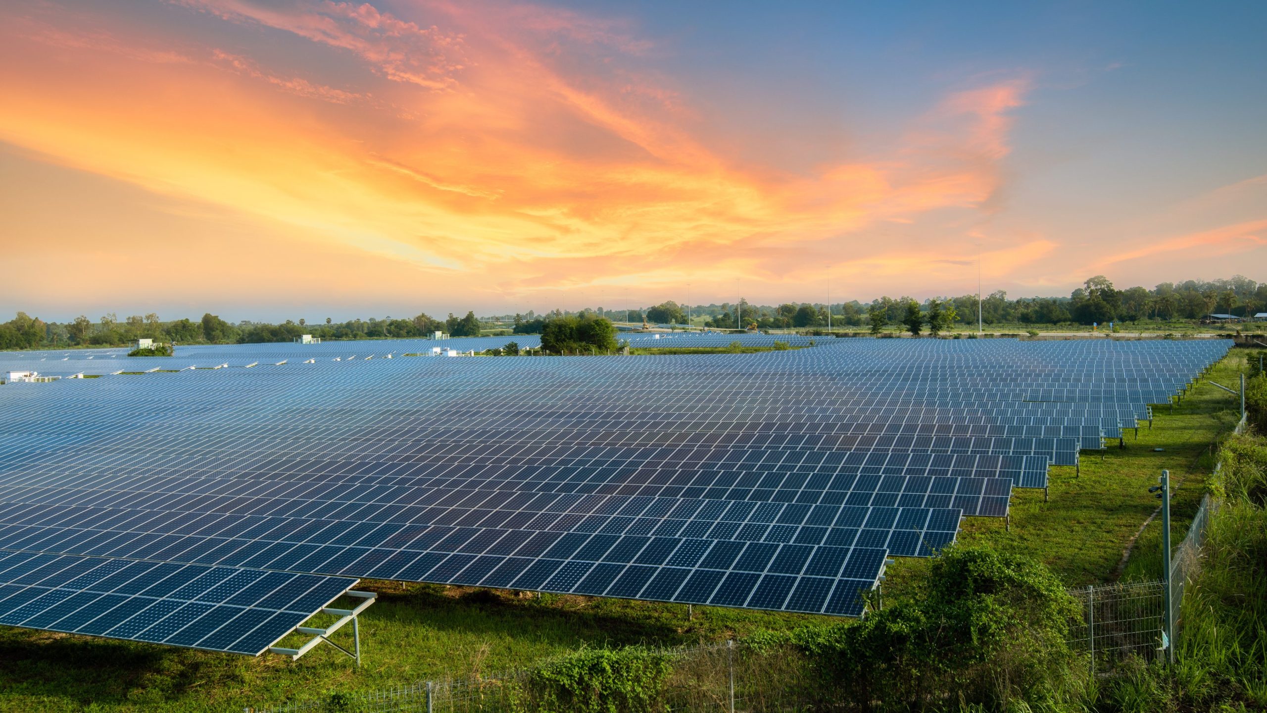 Energy Security Day: making the case for solar | The PHA Group