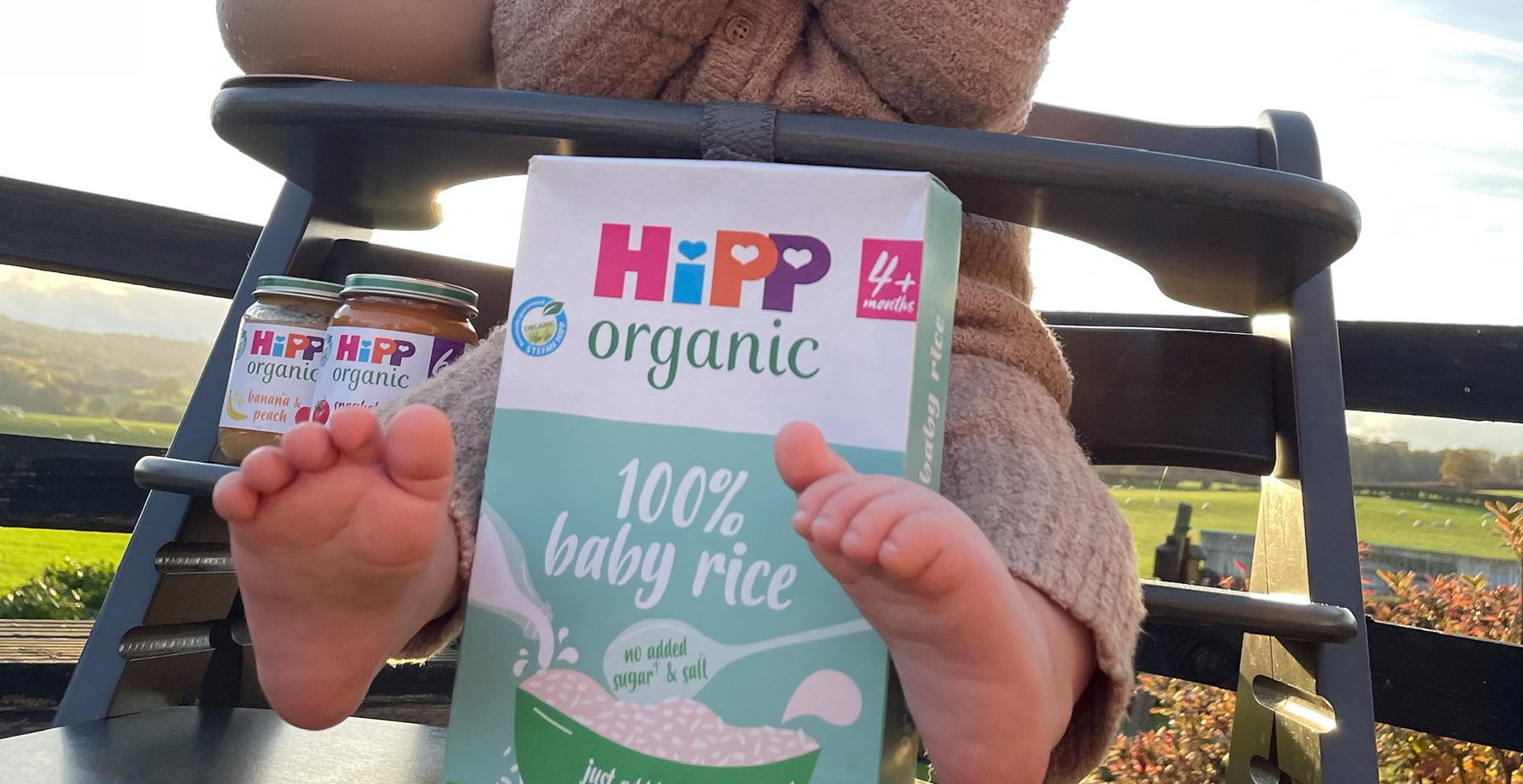 HiPP Organic - Digital Case Study - The PHA Group