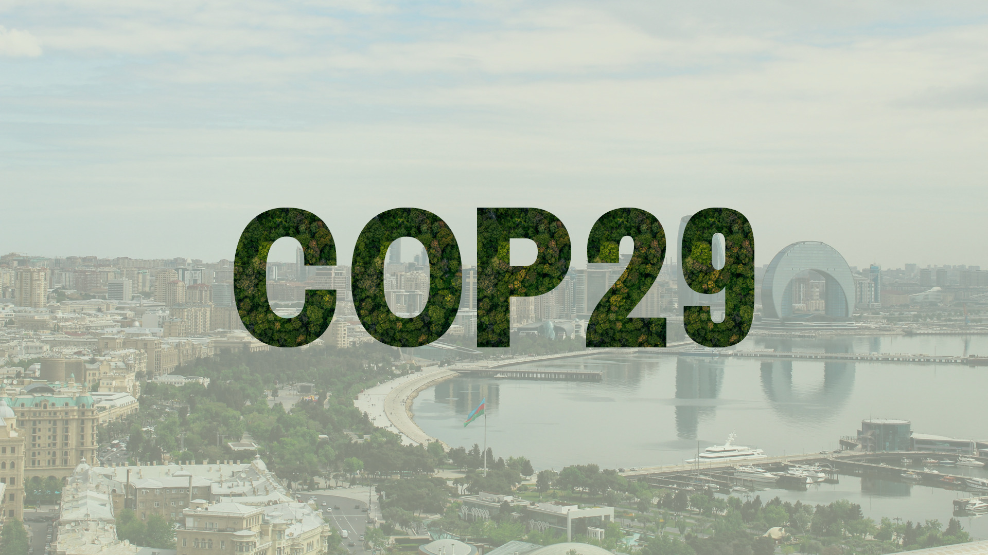 COP29: Anticipating Key Trends & Communications Opportunities